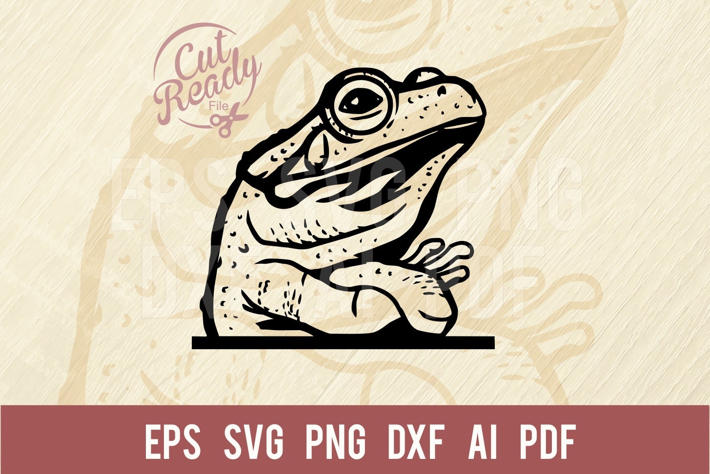 Funny Frog SVG Comic Animal SVG Funny Animal Cut File, Wildlife ...