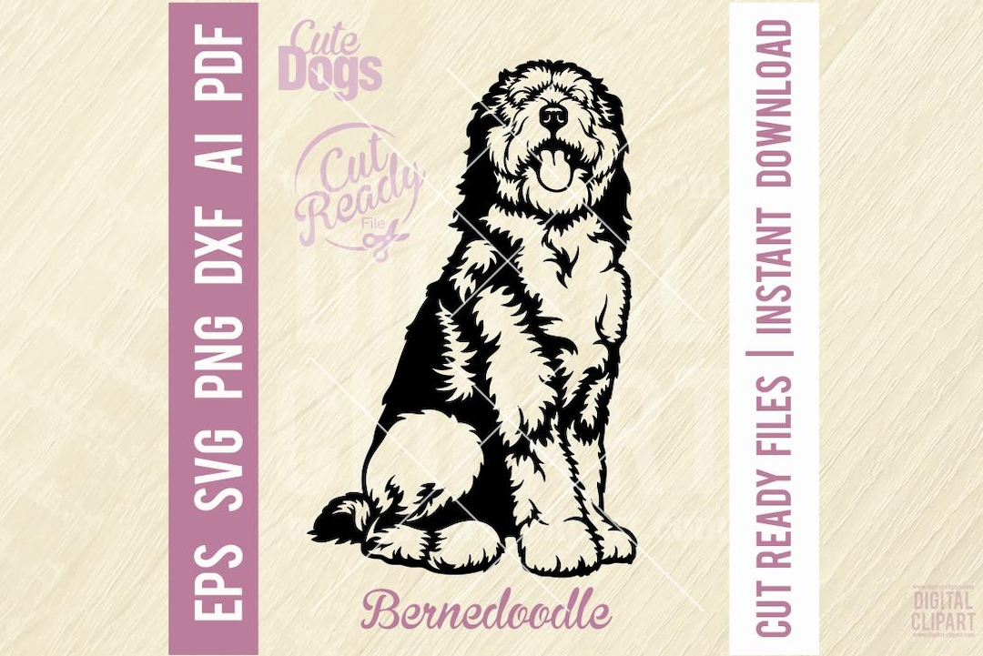 Bernedoodle Svg, Dog Breed, Funny Dog - Pet Vector Dog, Dog Silhouette ...