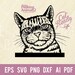Cheeky Cat SVG Peeking Cat Cut File Funny Animal Cut File, Wildlife ...