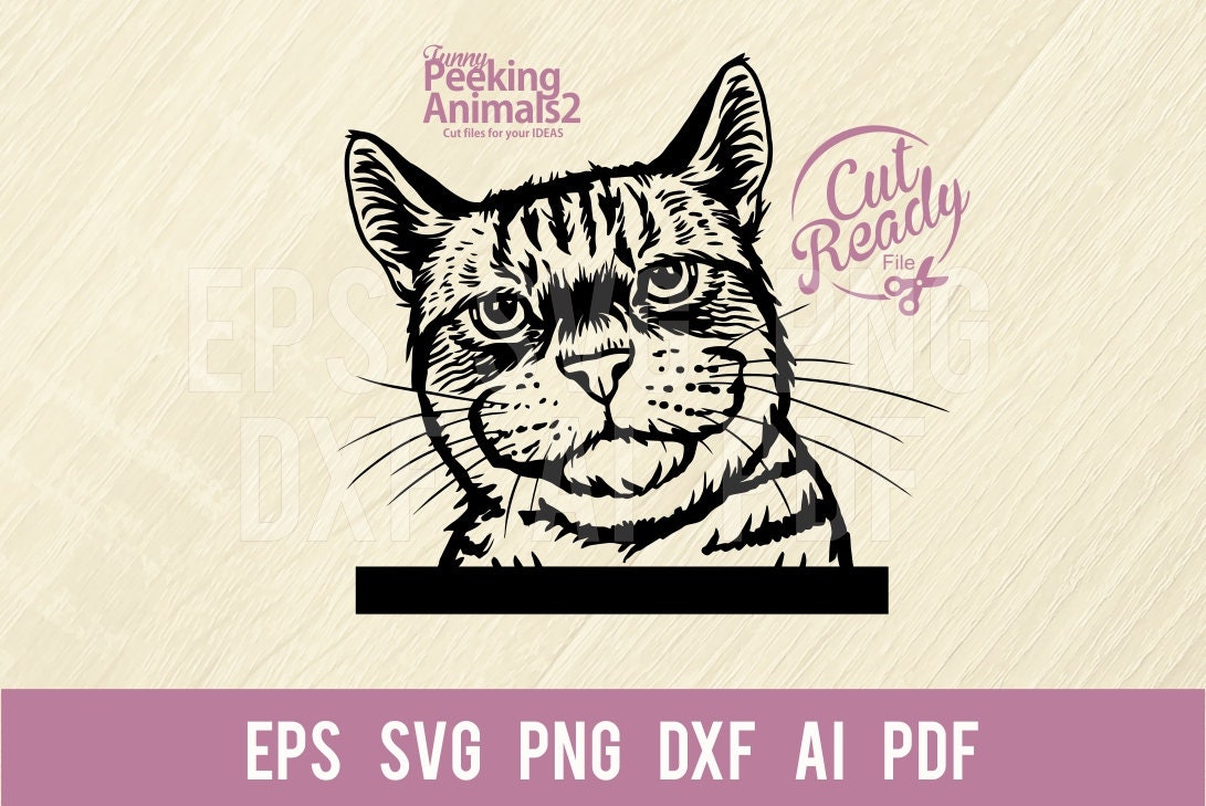 Cheeky Cat SVG Peeking Cat Cut File Funny Animal Cut File, Wildlife ...