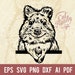 Funny Quokka SVG - Comic Animal SVG Funny Animal Cut File, Wildlife ...