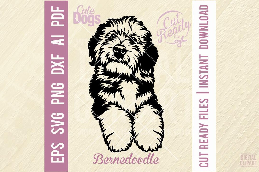 Bernedoodle Svg, Dog Breed, Funny Dog Pet Vector Dog, Dog Silhouette ...