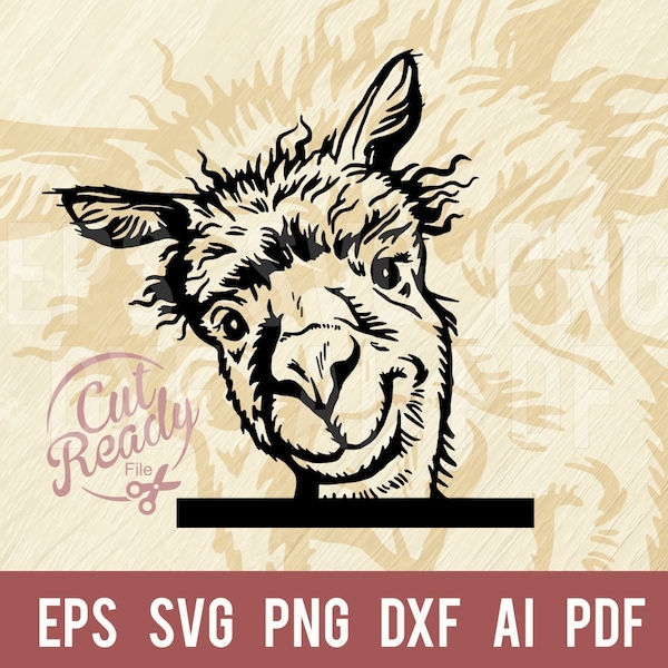 Alpaca Svg - Etsy