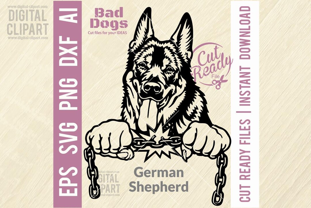 Bad German Shepherd With Chain SVG - Bad Dog - Dog Gangster. Pet Vector ...