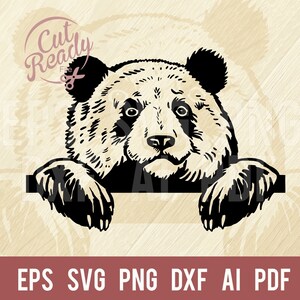 Peeking Panda SVG - Comic Animal SVG Funny Animal Cut File, Wildlife ...