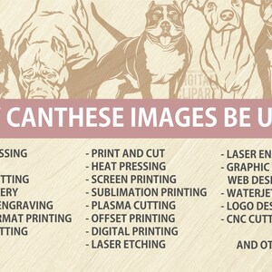 Labradoodle Svg, Dog Breed, Funny Dog Pet Vector Dog, Dog Silhouette ...