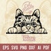 Peeking Cat SVG Comic Animal SVG Funny Animal Cut File, Wildlife ...