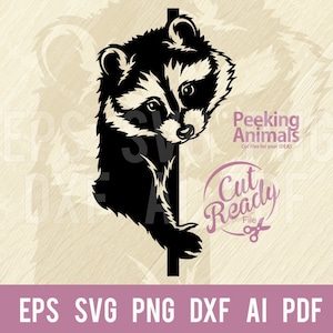 Peeking Raccoon SVG - Comic Animal SVG Funny Animal Cut File, Wildlife ...