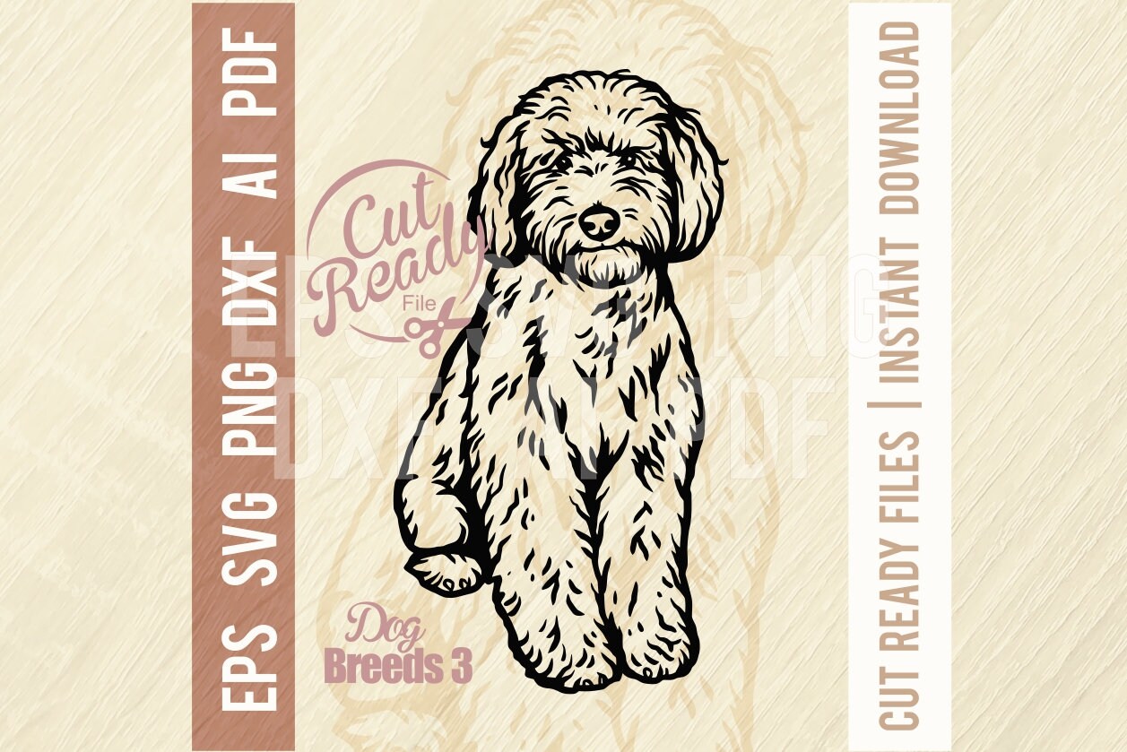 Labradoodle Svg, Dog Breed, Funny Dog Pet Vector Dog, Dog Silhouette ...