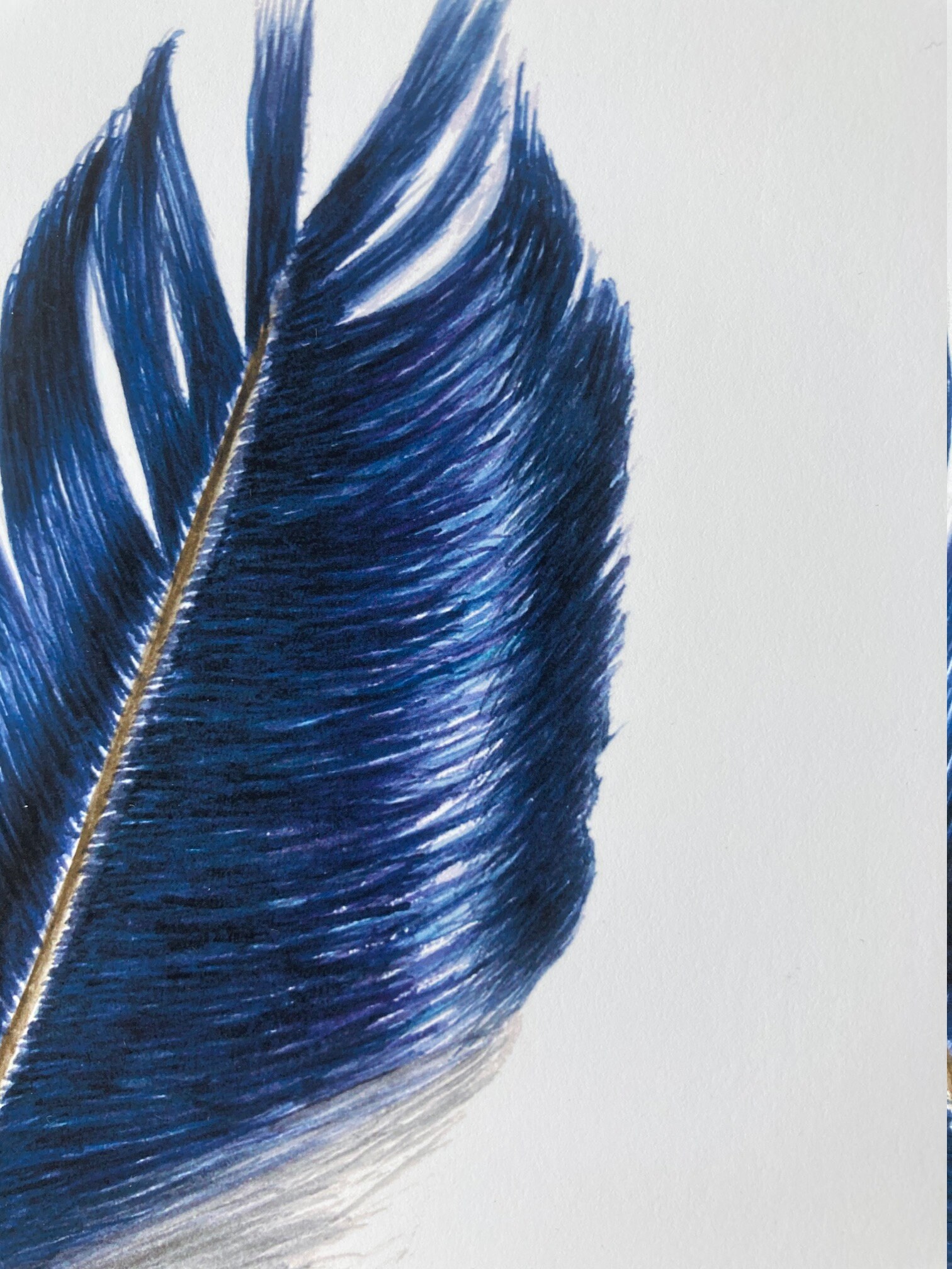 Blue Feather Art Print - Etsy