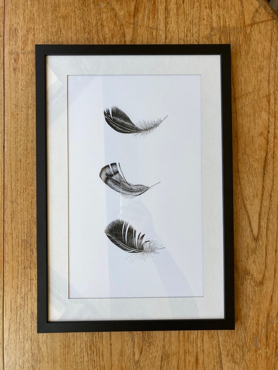 Feathers Falling Drawing