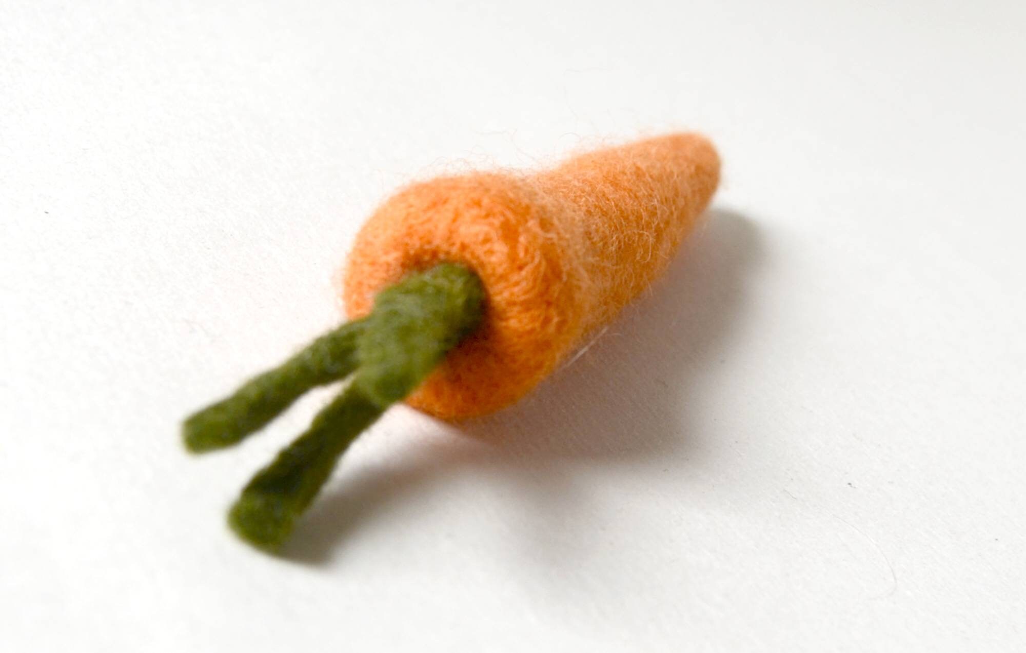 Large Felted Carrot, 10 Cm, Felt Vegetable, for Kids, Pretend Play ...