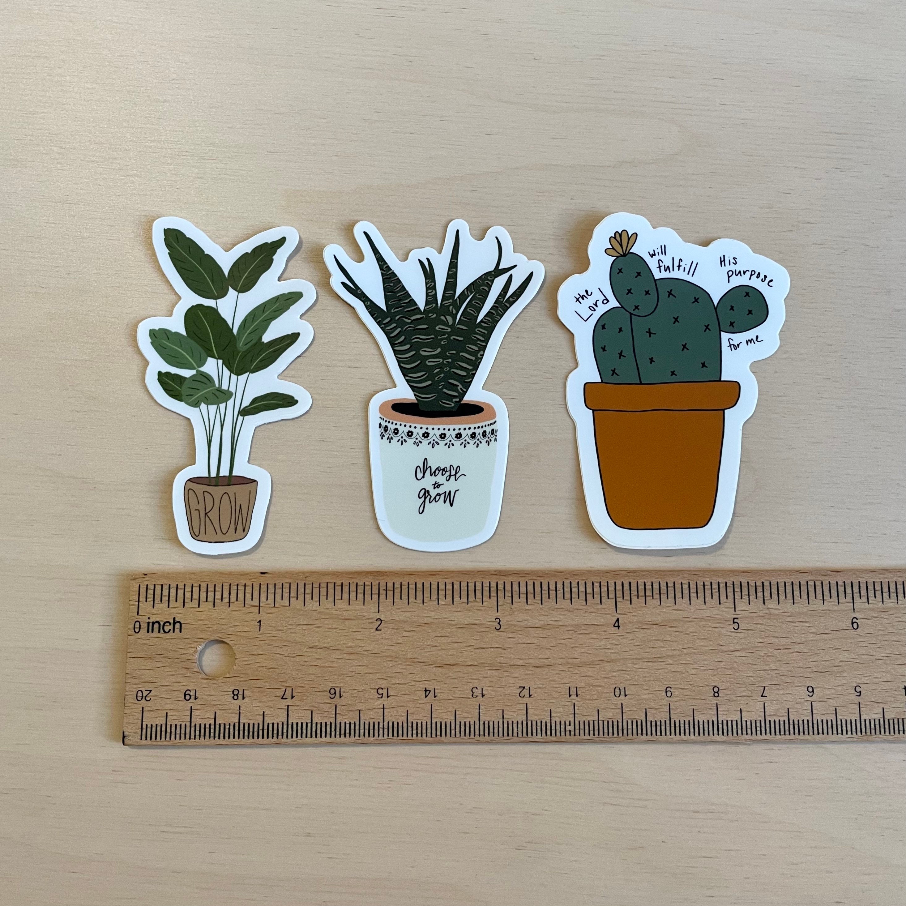 Growth Sticker Pack / VINYL STICKER / Succulent Stickers / - Etsy