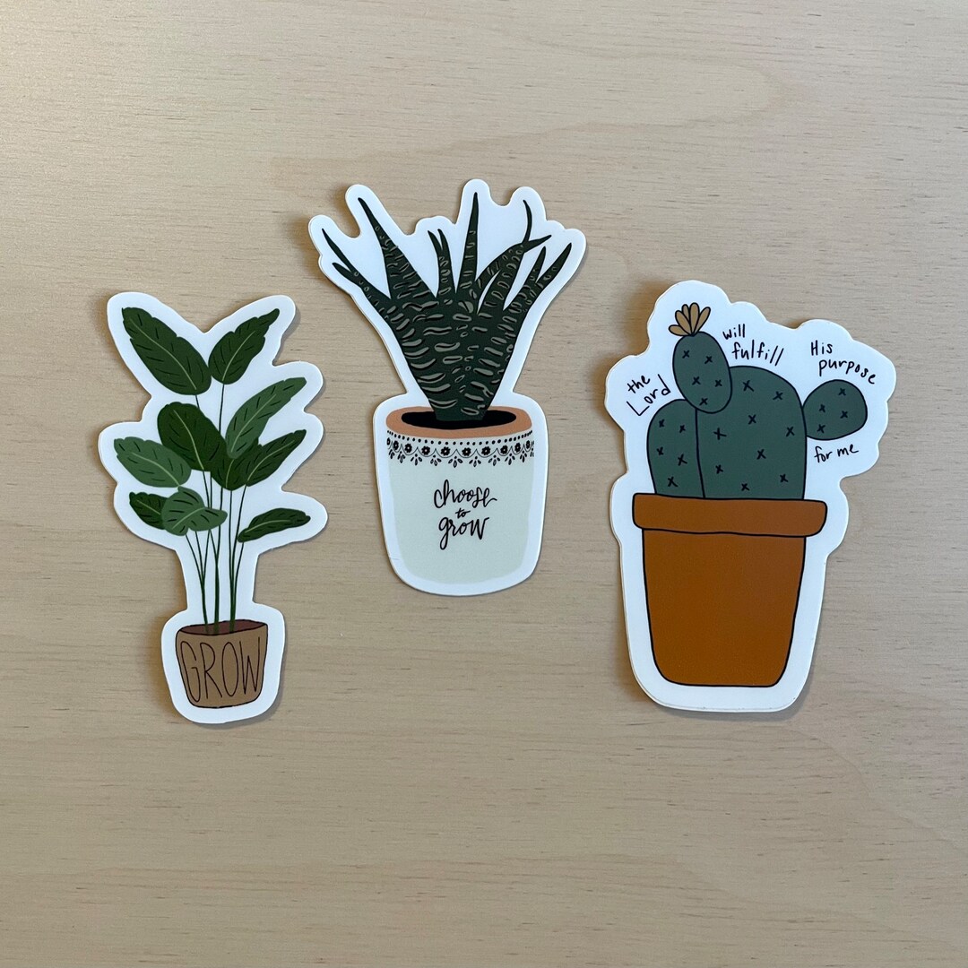 Growth Sticker Pack / VINYL STICKER / Succulent Stickers / Faith ...