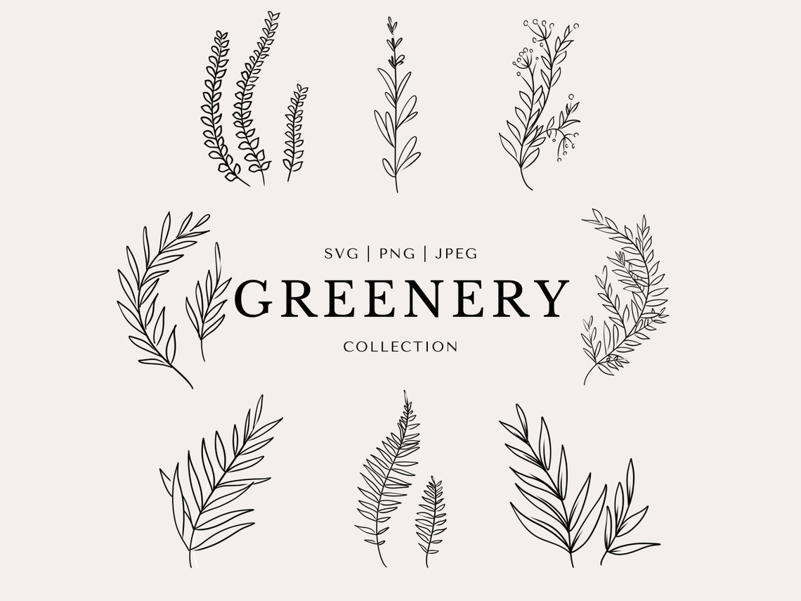 Greenery Line Clip Art Set Minimal Abstract Line Art Fine Line SVG PNG ...