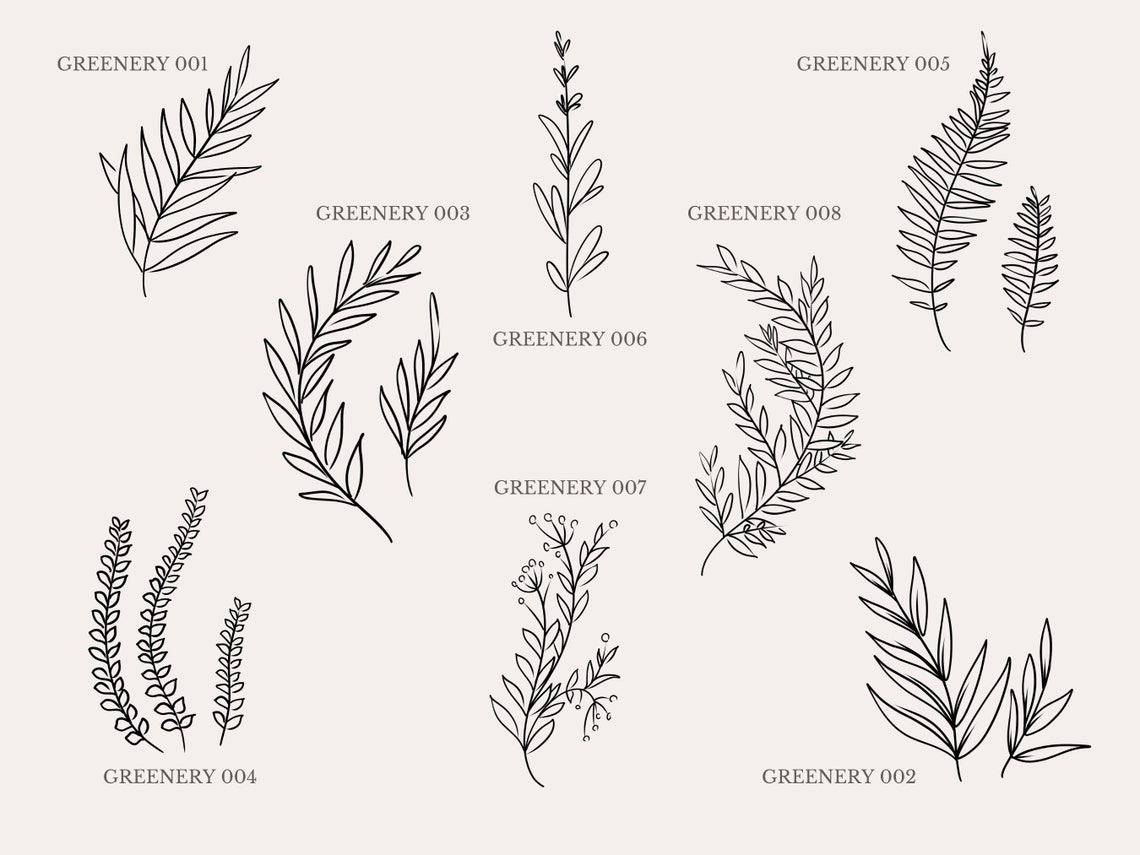 Greenery Line Clip Art Set | Minimal Abstract Line Art | Fine Line ...