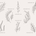 Greenery Line Clip Art Set | Minimal Abstract Line Art | Fine Line ...