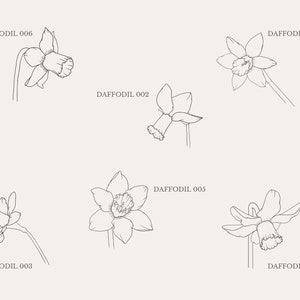 Daffodil Clip Art Set | Minimal Abstract Line Art | Fine Line | SVG ...