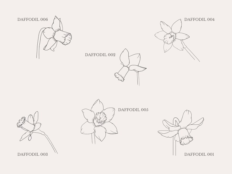 Daffodil Clip Art Set | Minimal Abstract Line Art | Fine Line | SVG ...