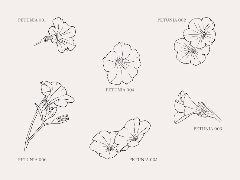 Petunia Clip Art Set | Minimal Abstract Line Art | Fine Line | SVG ...