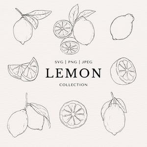 Lemon Clip Art Set | Minimal Abstract Line Art | Fine Line | SVG | PNG ...