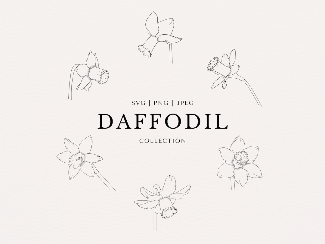 Daffodil Clip Art Set | Minimal Abstract Line Art | Fine Line | SVG ...