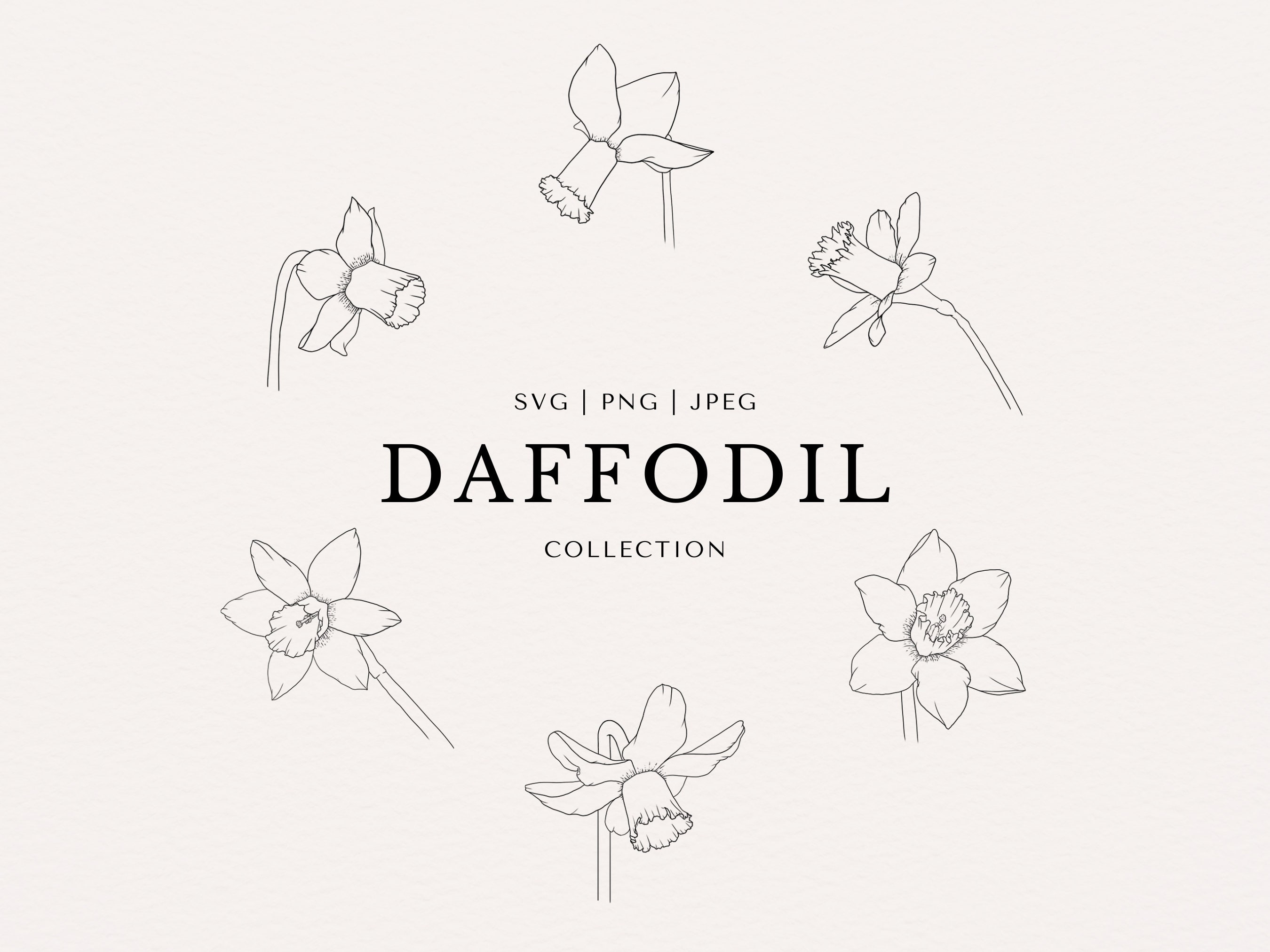 Daffodil Clip Art Set | Minimal Abstract Line Art | Fine Line | SVG ...