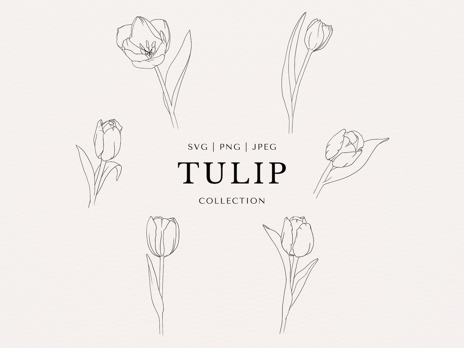 Tulip Clip Art Set | Minimal Abstract Line Art | Fine Line | SVG | PNG ...