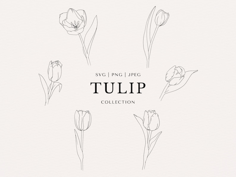 Tulip Clip Art Set | Minimal Abstract Line Art | Fine Line | SVG | PNG ...