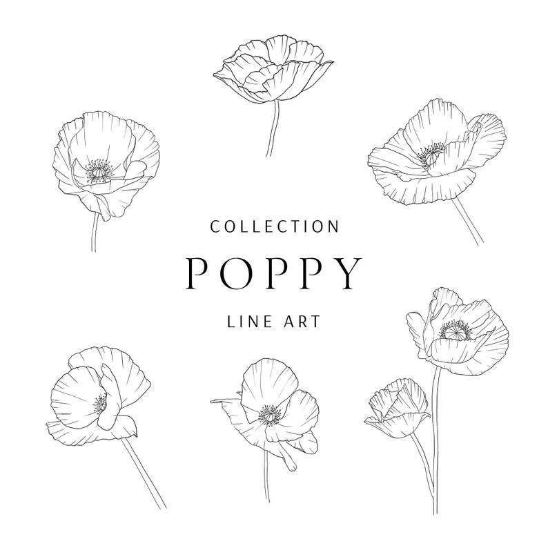 Poppy Clip Art Set Minimal Abstract Line Art Fine Line - Etsy