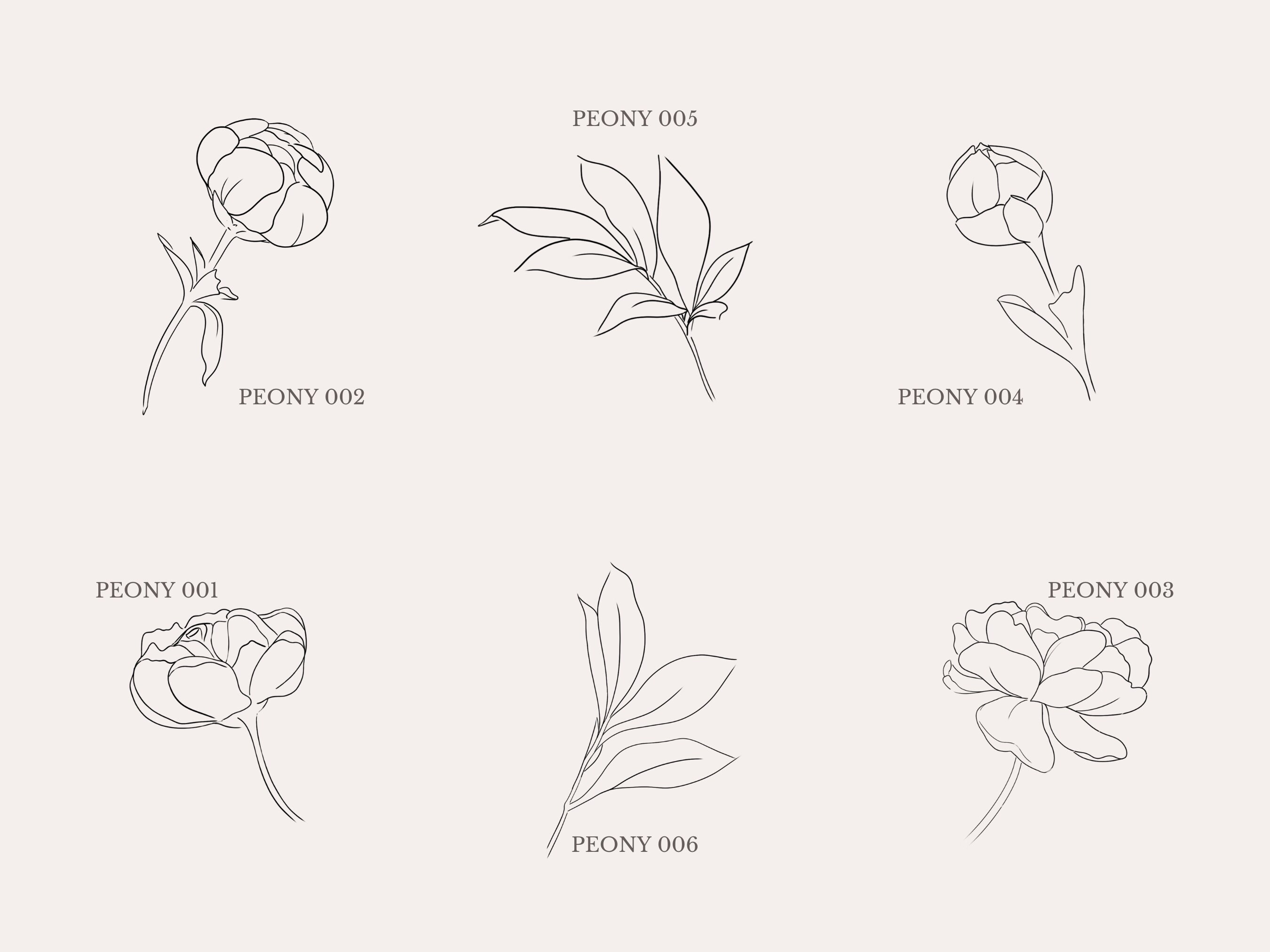 Peony Clip Art Set | Minimal Abstract Line Art | Fine Line | SVG | PNG ...