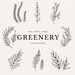 Greenery Line Clip Art Set | Minimal Abstract Line Art | Fine Line ...