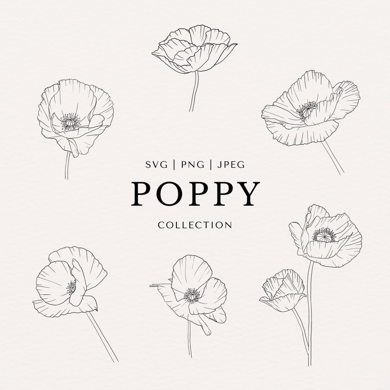 Poppy Line Art - Etsy