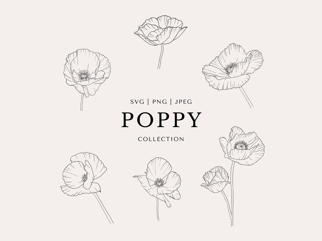 Poppy Clip Art Set Minimal Abstract Line Art Fine Line SVG PNG JPEG - Etsy