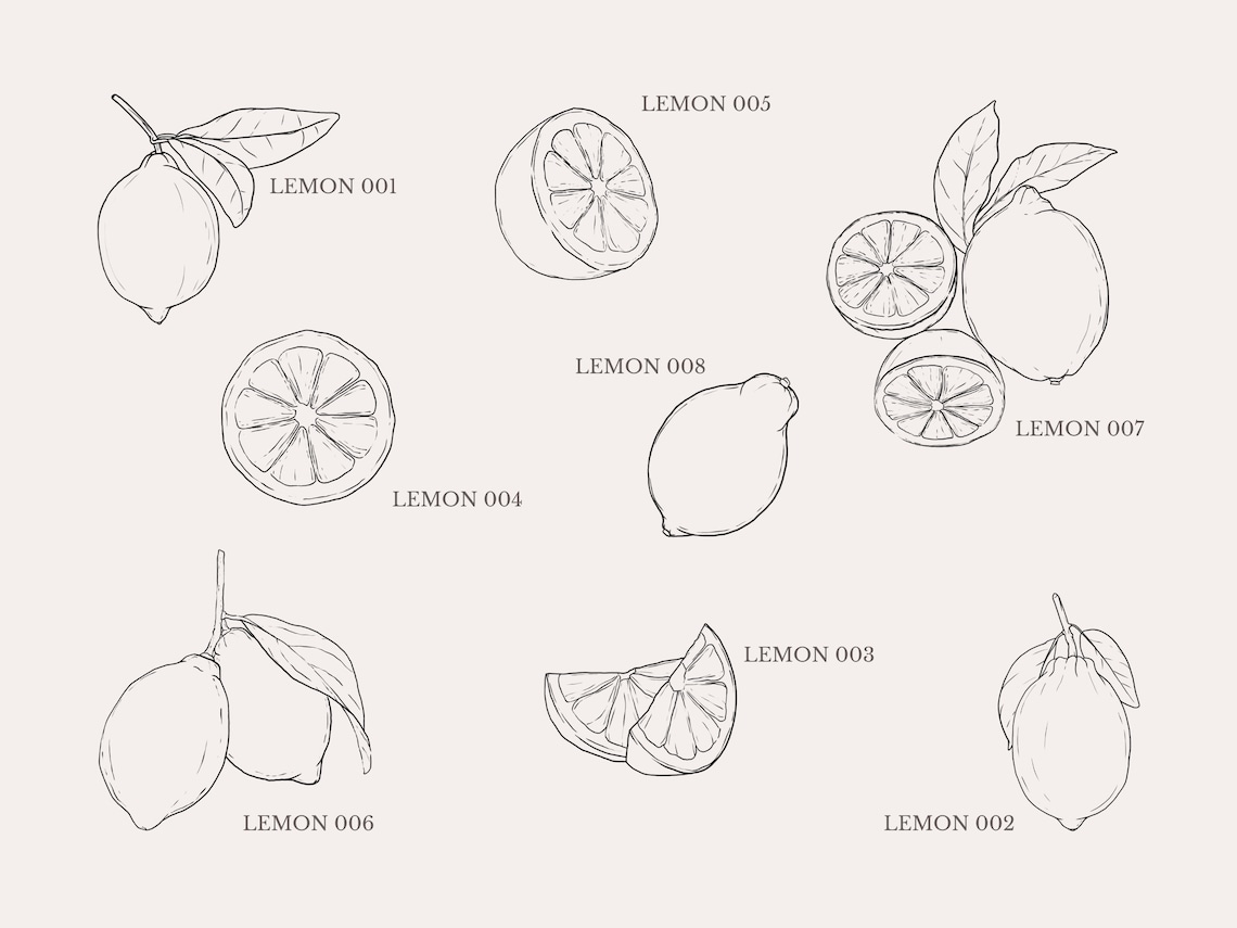 Lemon Clip Art Set | Minimal Abstract Line Art | Fine Line | SVG | PNG ...