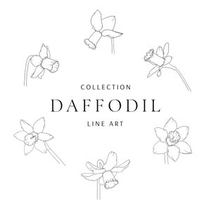 Daffodil Clip Art Set Minimal Abstract Line Art Fine Line - Etsy