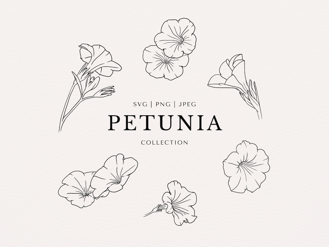 Petunia Clip Art Set | Minimal Abstract Line Art | Fine Line | SVG ...