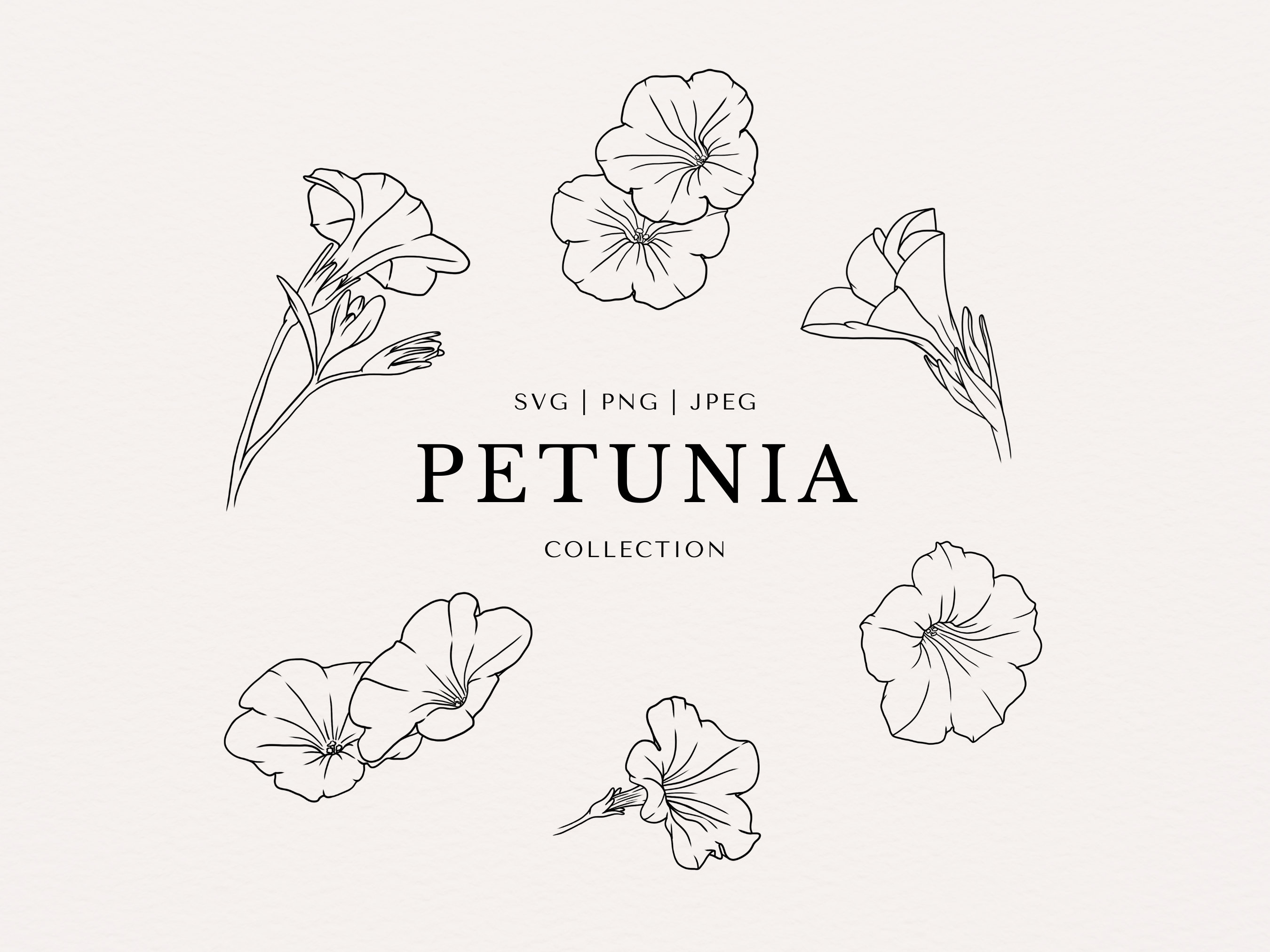 Petunia Clip Art Set | Minimal Abstract Line Art | Fine Line | SVG ...