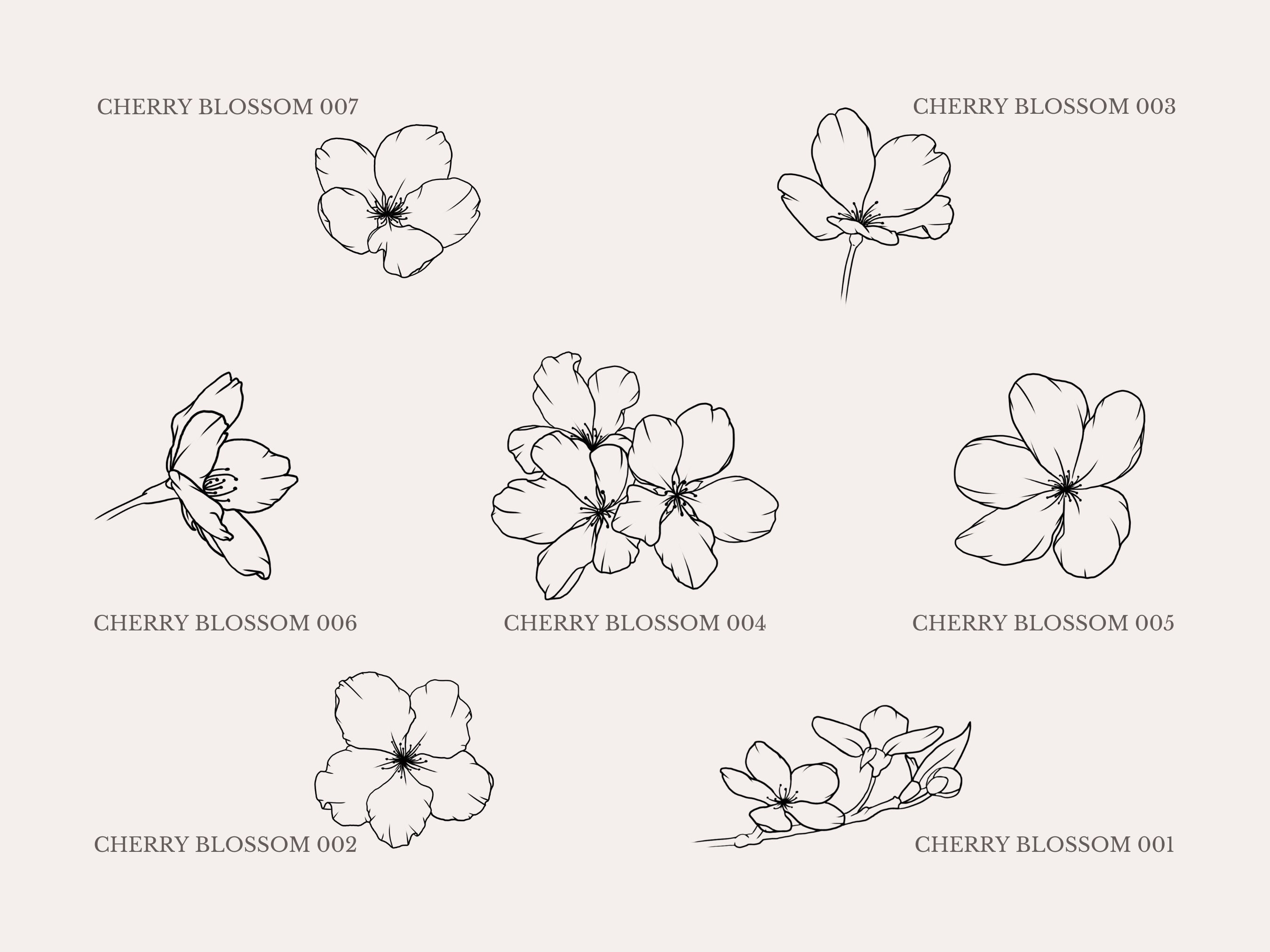 Cherry Blossom Clip Art Set | Minimal Abstract Line Art | Fine Line ...