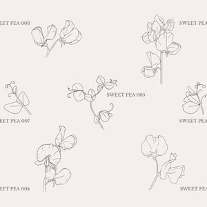 Sweet Pea Clip Art Set | Minimal Abstract Line Art | Fine Line | SVG ...