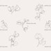Sweet Pea Clip Art Set | Minimal Abstract Line Art | Fine Line | SVG ...