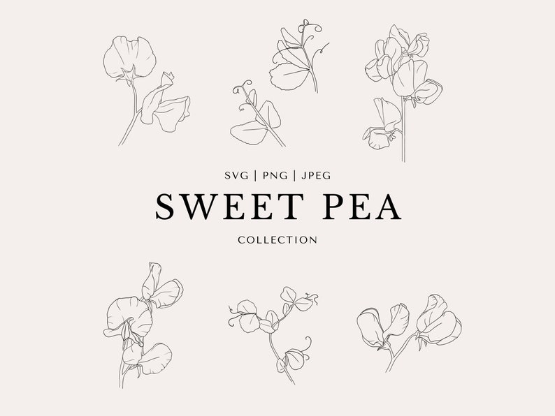 Sweet Pea Clip Art Set | Minimal Abstract Line Art | Fine Line | SVG ...