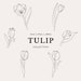 Tulip Clip Art Set Minimal Abstract Line Art Fine Line SVG PNG JPEG ...