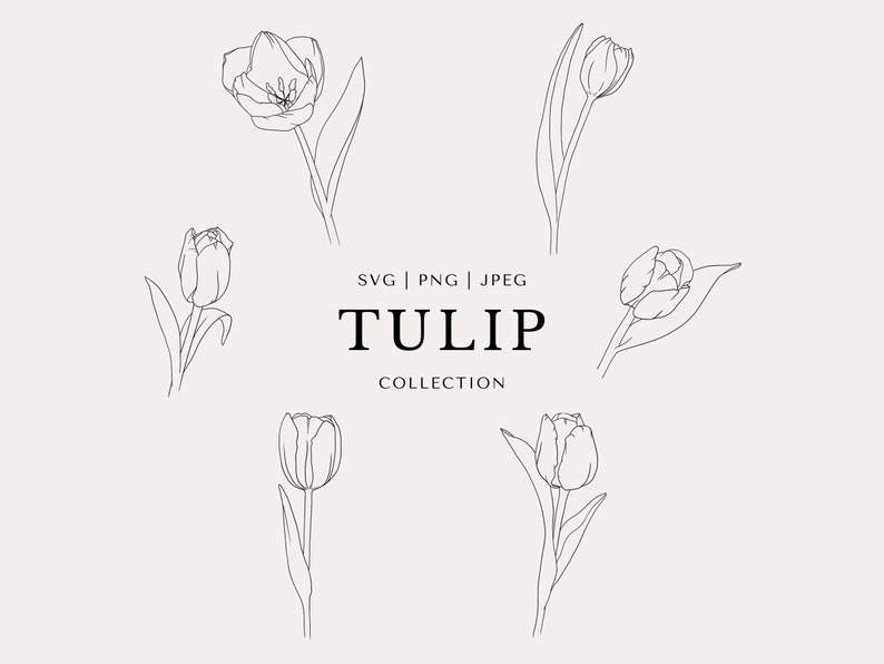Tulip Clip Art Set Minimal Abstract Line Art Fine Line SVG PNG JPEG - Etsy