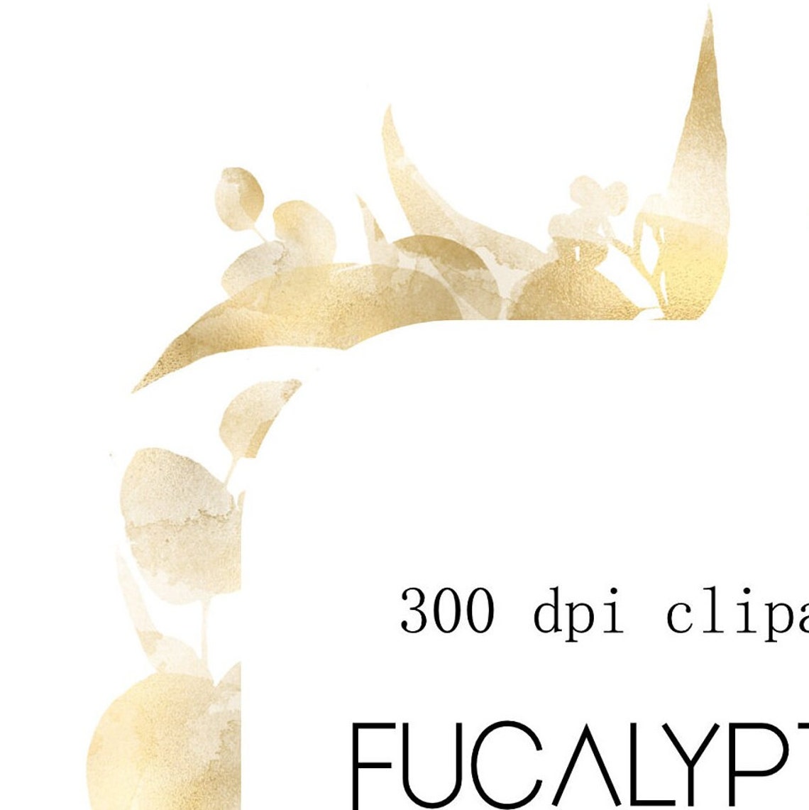 Eucalyptus Clip Art, Gold Leaves Frame, Gouache Wash Botanical Leaves ...
