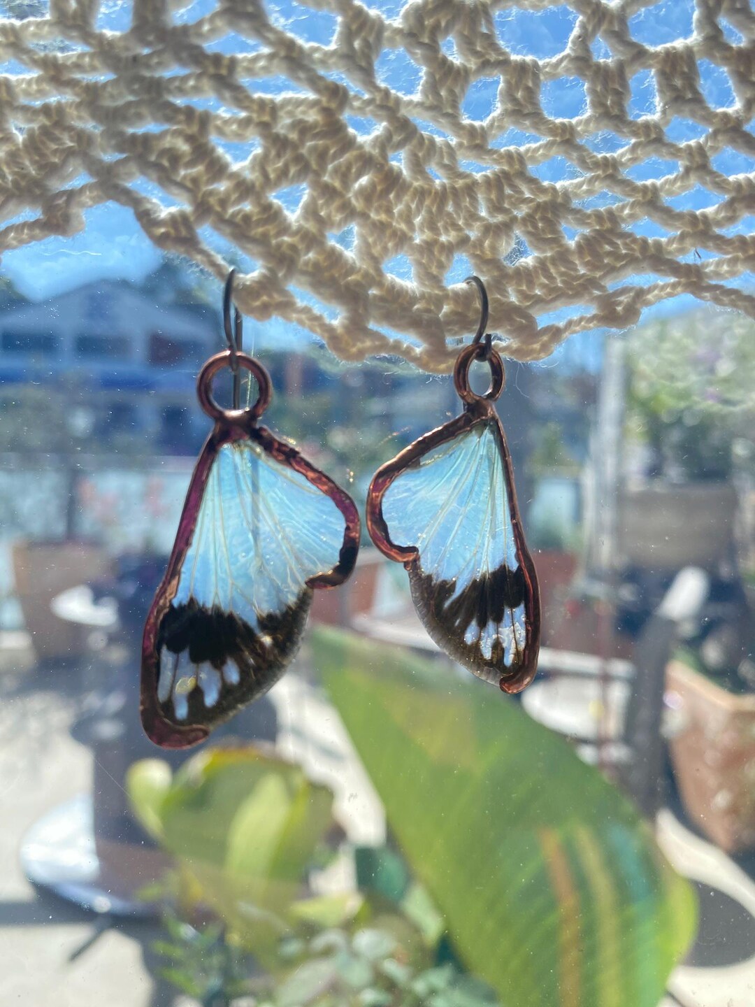 Cicada Wing Earrings Real Cicada Wing Earrings in Resin Electroformed ...