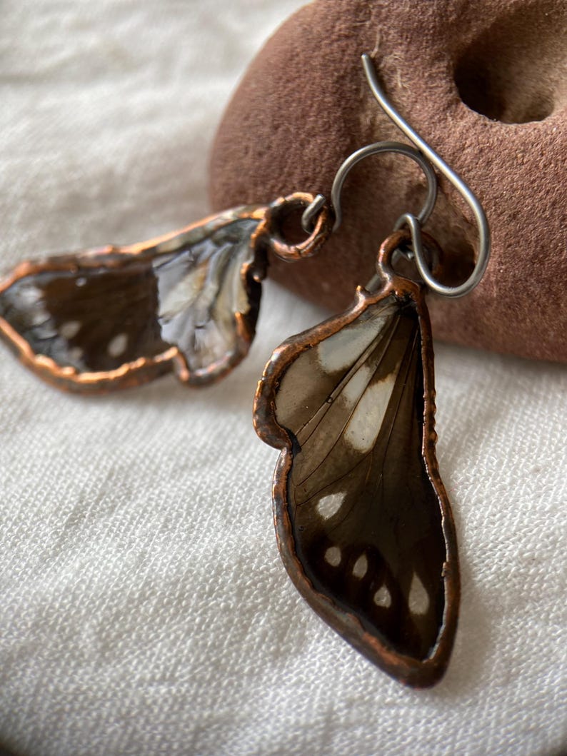 Cicada Wing Earrings- Real Cicada Wings- Hypoallergenic Niobium Hooks ...