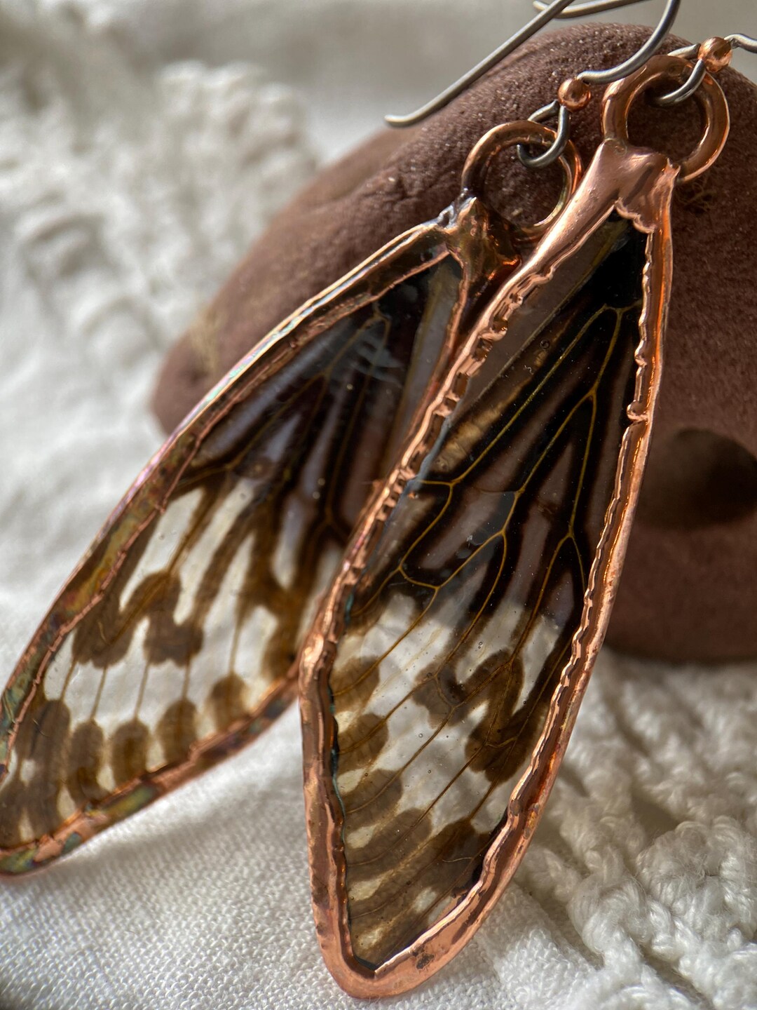 Cicada Wing Earrings, Wing Earrings, Hypoallergenic Ear Wires - Etsy