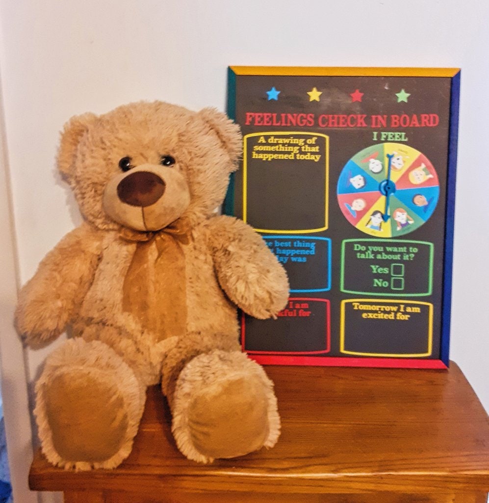 Feelings check in board for children Feelings chart Emotions | Etsy