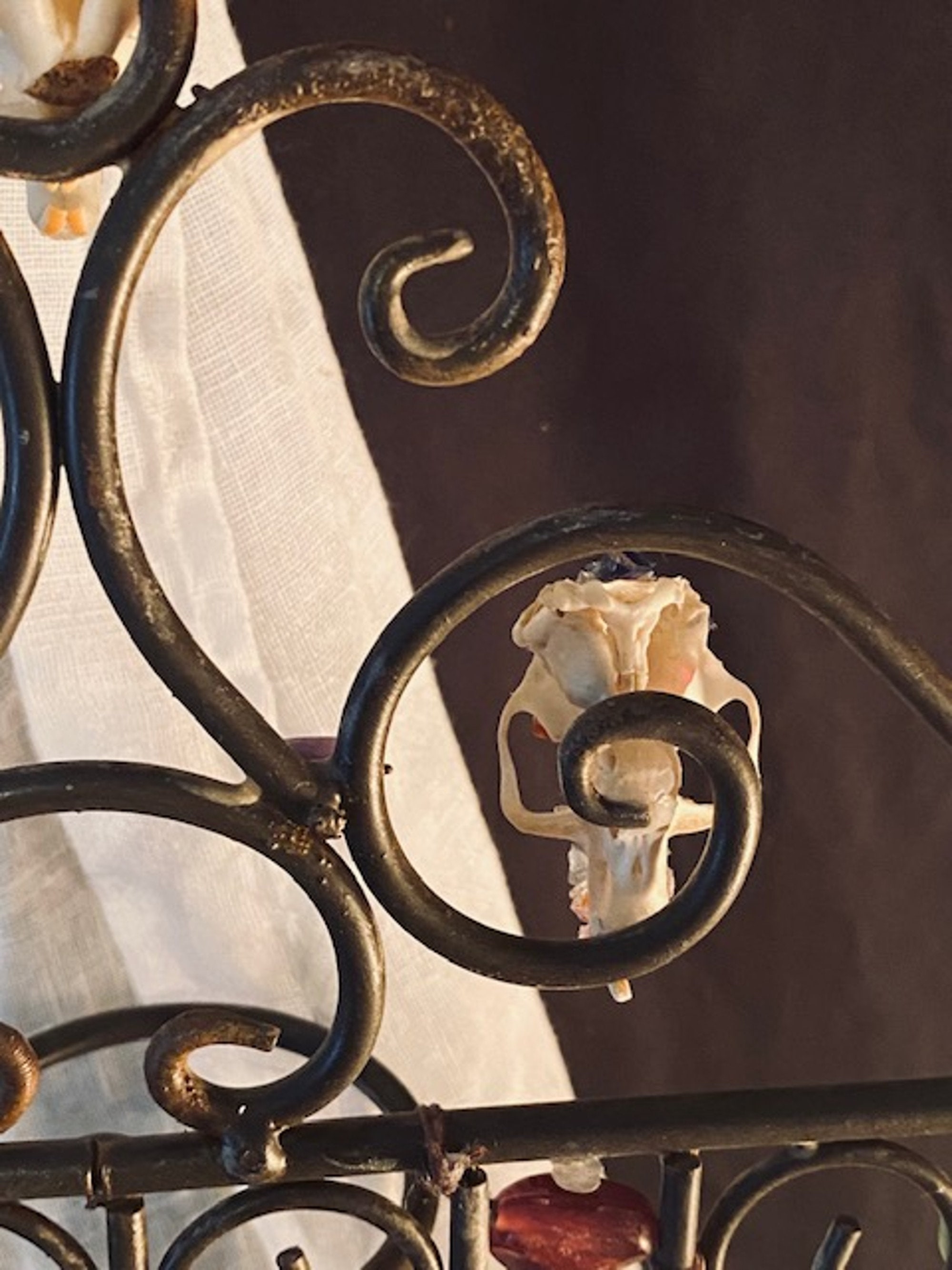 Planter Rat Skull Gopher Skull Wrought Iron Miniature - Etsy